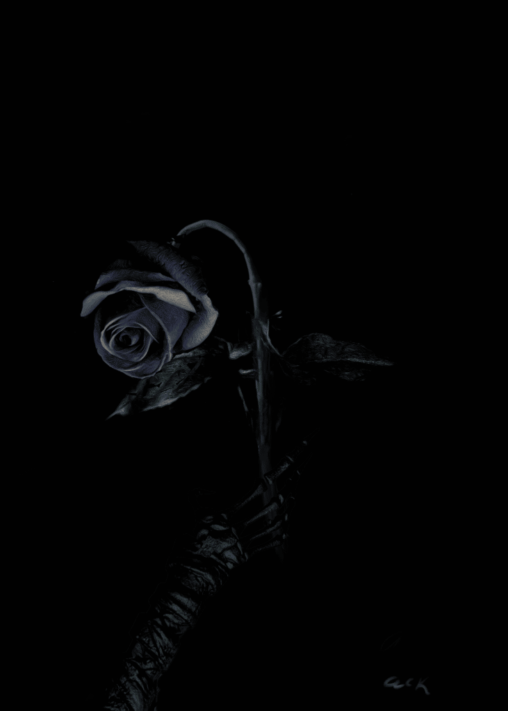 AOTM - The Ethereal Rose