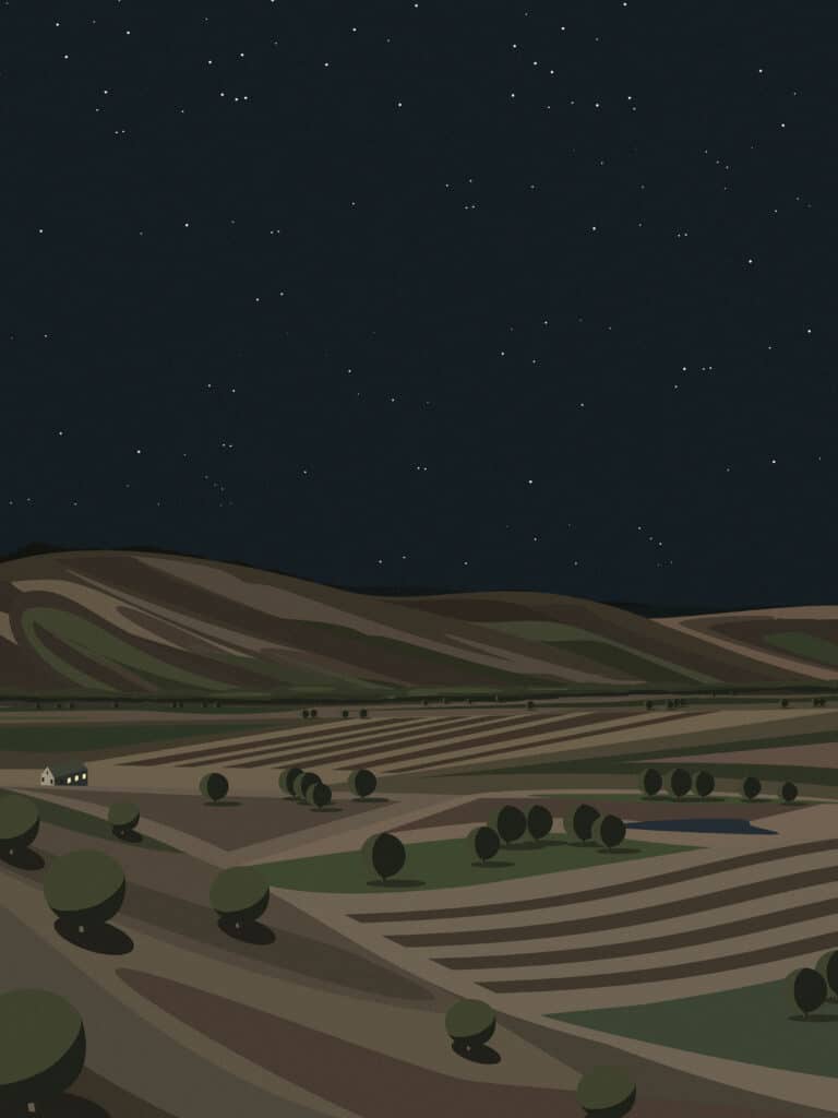 AOTM - A Night In Salinas