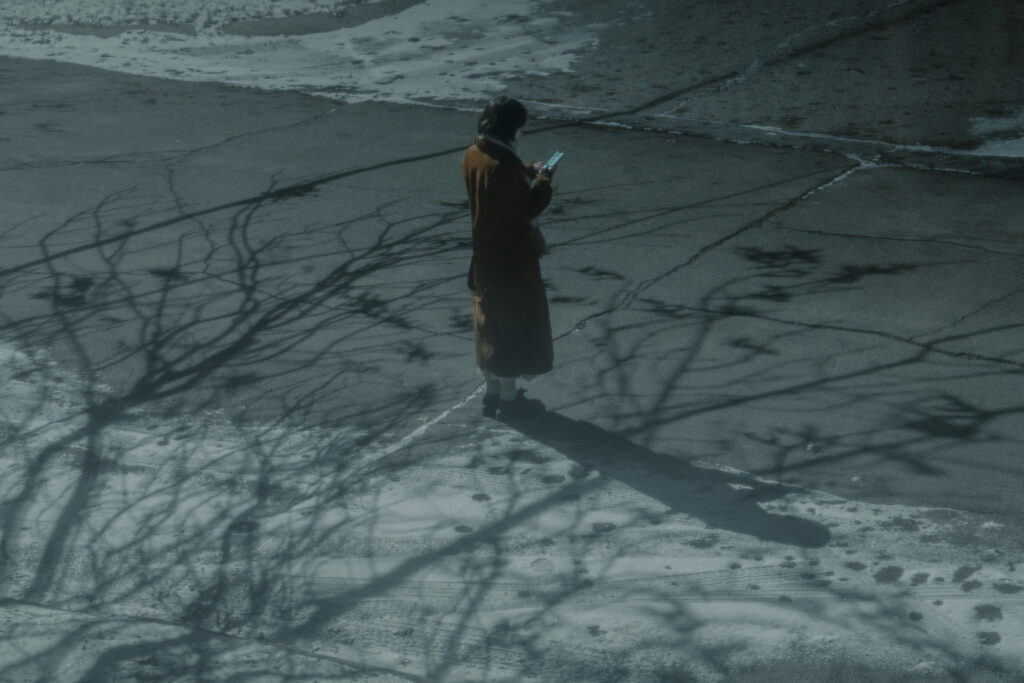 AOTM - Shadow of a Tree